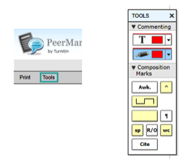 Writing a peer review – Turnitin Guides